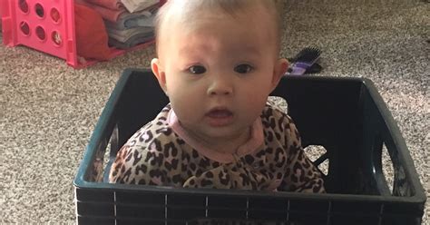 Cheryls Travel Log Blog Daisy Lynn April 13 2017