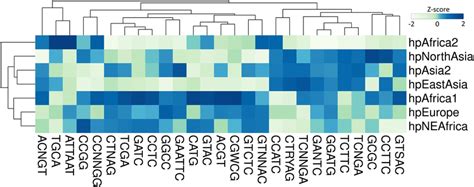 geographical variation of type ii target motif frequency in h
