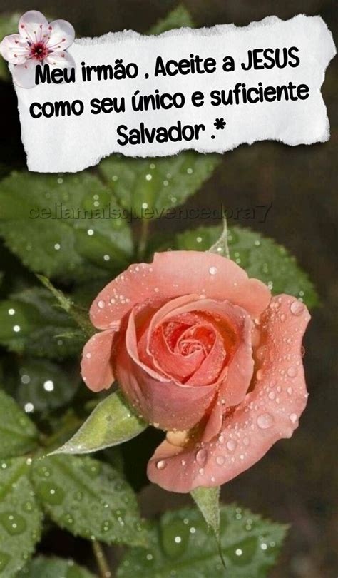 Pin de Celia Trindade em Jeová Jesus é Mensagens bonitas Deus está
