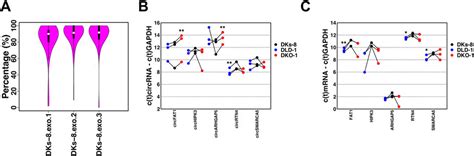 CircRNAs More Abundant In Exosomes Than Cells Exosome RNA
