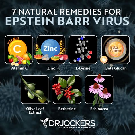 Epstein Barr Virus Symptoms Causes And Support Strategies