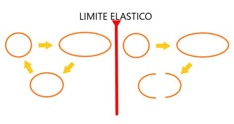 Conceptos Basicos Elasticidad Wafc