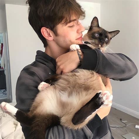 Pin By Crystal Generana On Pfp Pet Photography Studio Cute Guys Cat People