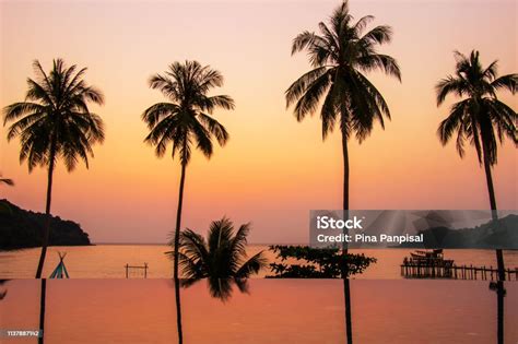 물 표면에 반사 되는 석양 코코넛 나무 지역 아오 방 Bao는 뜨 랏 지방의 행정구역 이다 태국 Ko Kut Island에 대한 스톡 사진 및 기타 이미지 Istock
