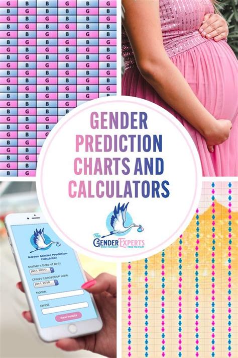 Gender Charts Calculators Use Accurate Gender Prediction Tools Artofit