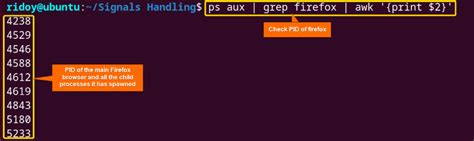 Bash Signals Handling Linuxsimply