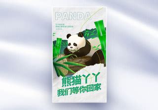欢迎熊猫丫丫回家全屏海报模板素材 正版图片402433491 摄图网