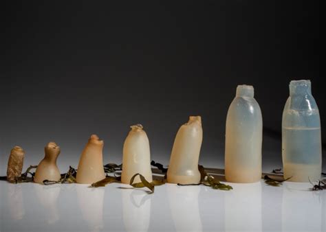 Ari Jónsson uses algae to create biodegradable water bottles