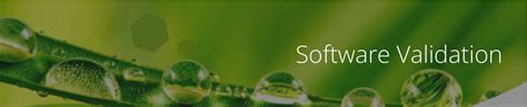 Eclinica Has Gained A Strong Expertise In It Software Validation That
