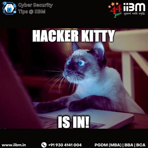 Dr Zakir Husain Institute And Iibm On Linkedin Hackers