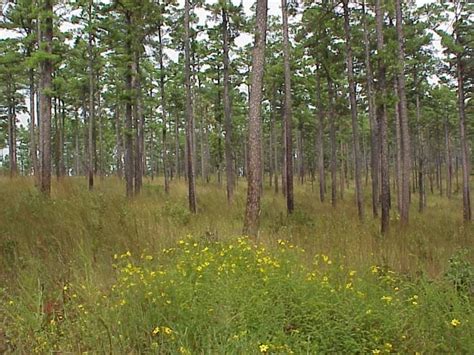 Ar La Rcpp — Lmvjv