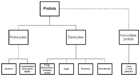General Classification Of The Microorganisms Download Scientific Diagram