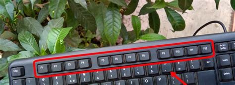 What Is The Use Of All Function Keys In The Keyboard Gban S You