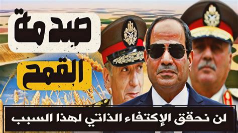 تعرف علي خطة مصر البديلة لزراعة القمح ما أسباب إيقاف زراعات جديدة