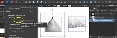 Picture Frames Border Remains Visible Affinity On Desktop Questions
