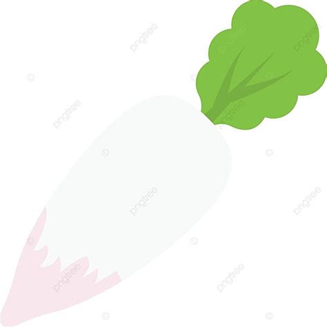 蔬菜 素食 健康 維生素 向量 素食主義者 健康 维他命向量圖案素材免費下載，png，eps和ai素材下載 Pngtree