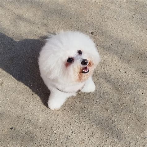 Adele And Friends Youtube