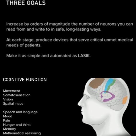 Neuralink A Closer Look At The Tech