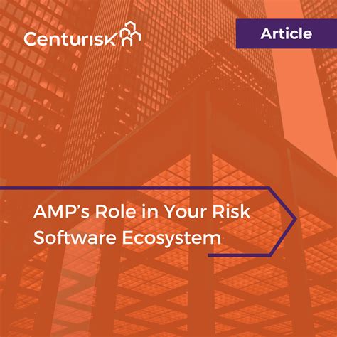 Amps Role In Your Risk Software Ecosystem