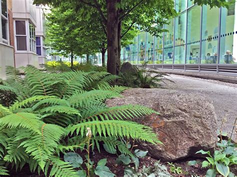 Global Biodiversity Framework Nhs Forest