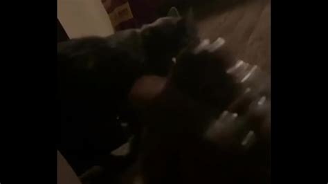 Bbc Explodes Xxx Mobile Porno Videos And Movies Iporntv Net