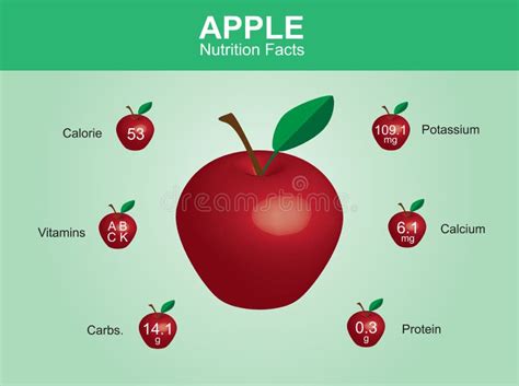 Faits De Nutrition D Apple Fruit De Pomme Avec L Information Vecteur De Pomme Illustration De