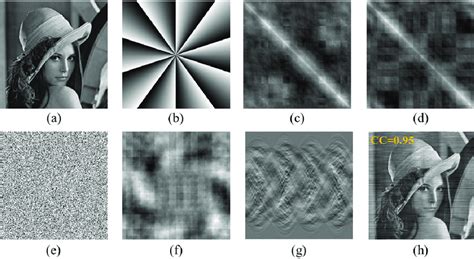 Encryption Results A Input Image B SPM With Topological Charge Q