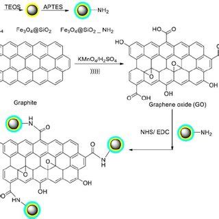 Schematic Of The Chemical Path To The Synthesis Of Fe O SiO GO Download Scientific
