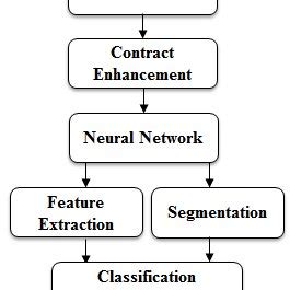 Structure Of The Simplified CNN Model CNN Convolutional Neural Network Download Scientific