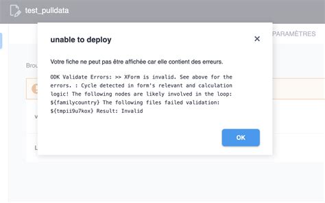 Xls Form Pulled Data Invalid Validation Form Building Kobotoolbox