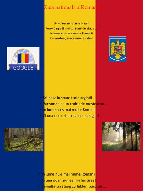 Tema Informatica Pdf