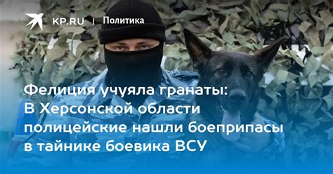 Фелиция учуяла гранаты В Херсонской области полицейские нашли боеприпасы в тайнике боевика ВСУ