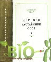 Деревья и кустарники СССР, Том 3
