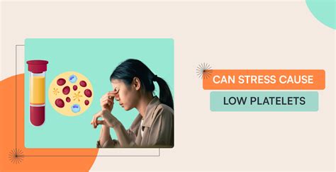 Can Stress Cause Low Platelets The Stress Platelet Link Fitelo