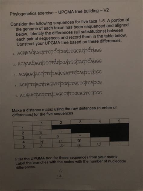 Solved Phylogenetics Exercise Upgma Tree Building V2