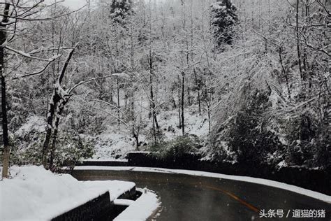 實拍恩施鶴峰宣恩等地大雪紛紛滿山銀裝素裹美如畫 每日頭條