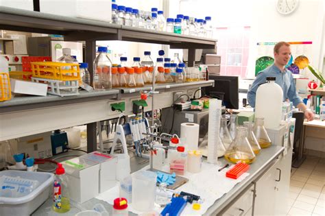 environmental science msc