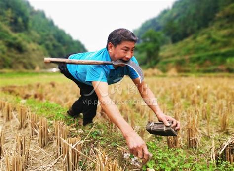 贵州印江牛人王昭权获全国脱贫攻坚奋进奖 人民图片网