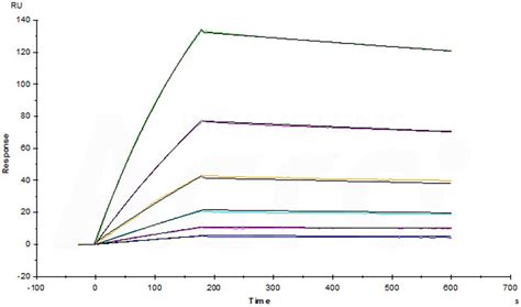 Human Glypican 3 Gpc3 Protein His Tag Premium Grade Acrobiosystems