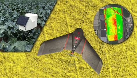 Crop Monitoring By CSMT Agri Pte Ltd