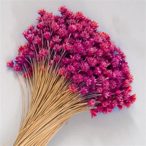 Hill Flower Preserved Bouquet Quality Growers Floral Company