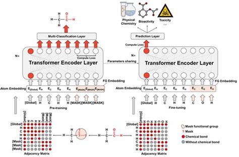 Brief Bioinform｜fg Bert：基于官能团的通用自监督分子表示学习与性质预测框架 智源社区