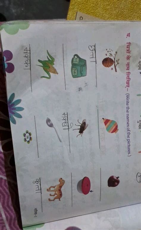 Write The Names Of The Pictures StudyX