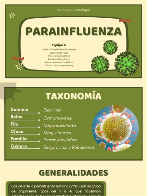 Parainfluenza E6 Descargar Gratis Pdf Virus Enfermedades Animales
