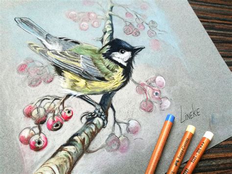 Great Tit In Pastel Pencil By Lineke Lijn On Deviantart