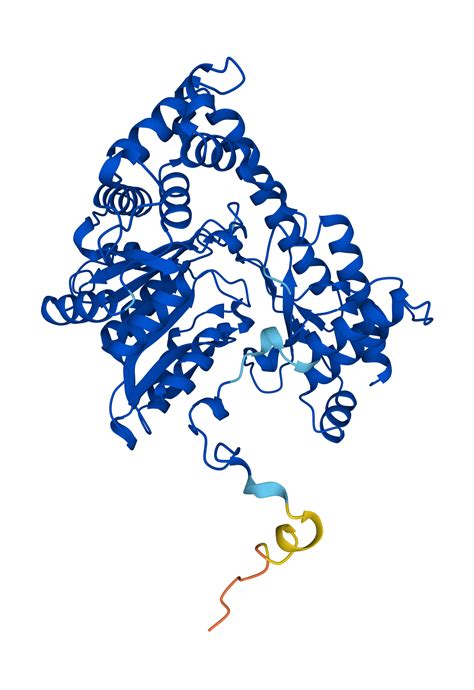 Sgpt Full Form Definition Functions Causes Reduction