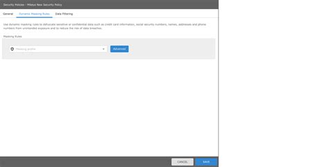 Dynamic Masking Satori Documentation
