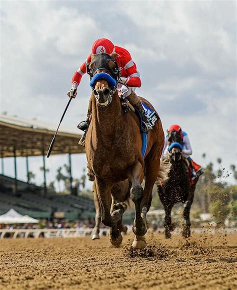 Santa Anita Derby Cheat Sheet Americas Best Racing