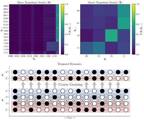 entropy free full text flickering emergences the question of