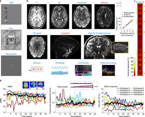 Overview Of Acquired Data A Auxiliary Fmri Experiments Data From The
